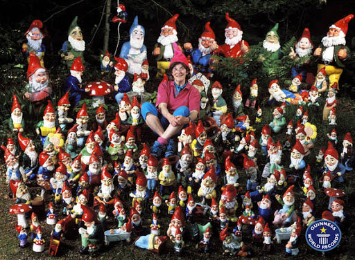 Every Gnome Needs a Home – Cactaceae Storeiencius