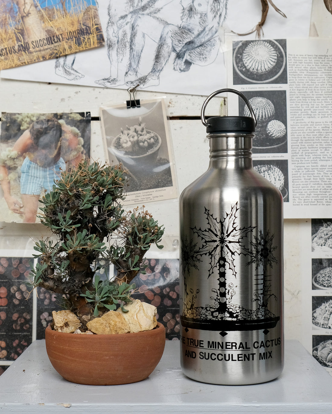 Water Vessel 1: Stone Eater's – Cactaceae Storeiencius