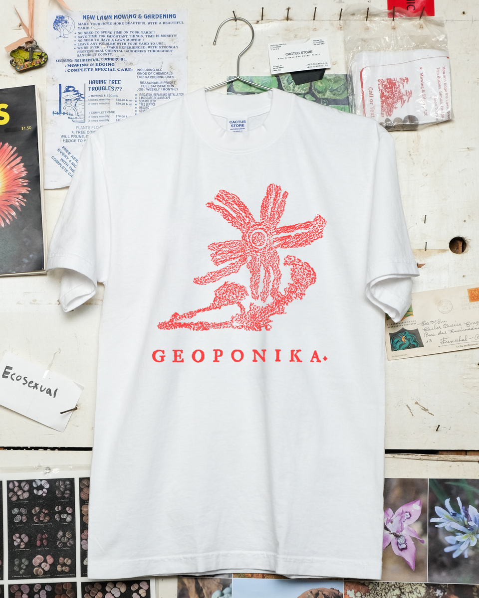 GEOPONIKA – Cactaceae Storeiencius