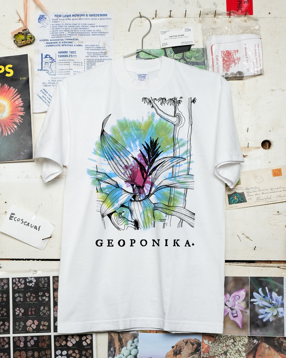 Geoponika: Bromeliad Tie-Dye – Cactaceae Storeiencius