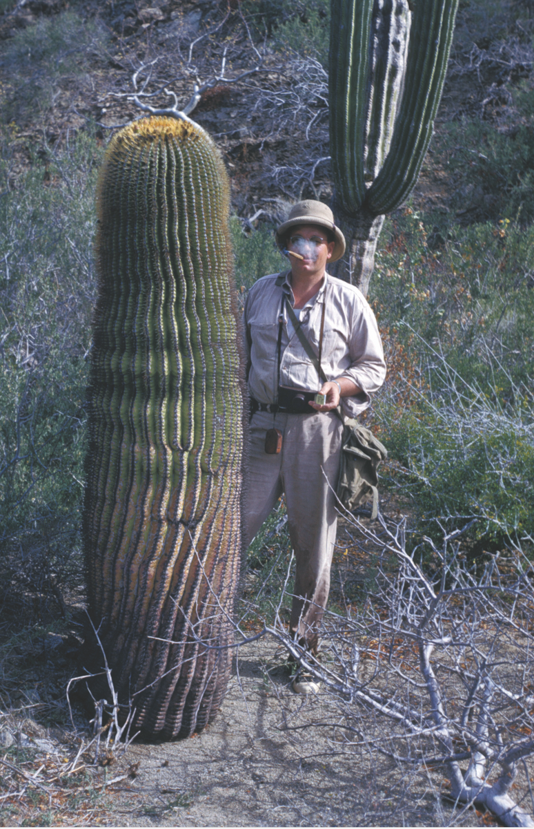 Xerophile – Cactaceae Storeiencius