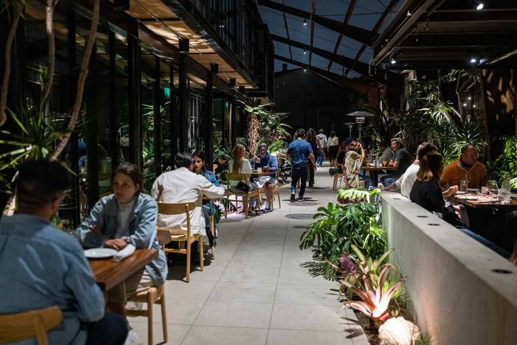 Cactus Store and other plants – Cactaceae Storeiencius