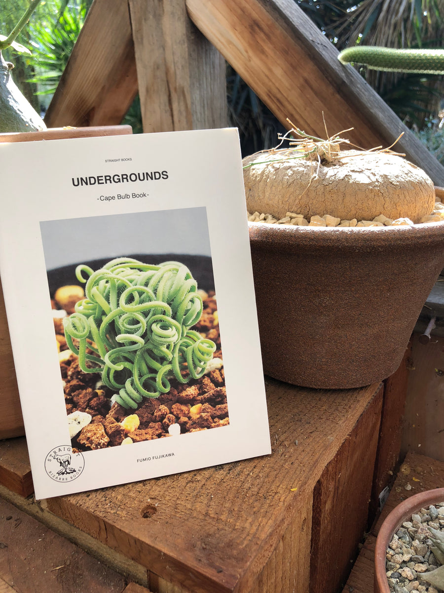 Undergrounds - Cape Bulb Book – Cactaceae Storeiencius