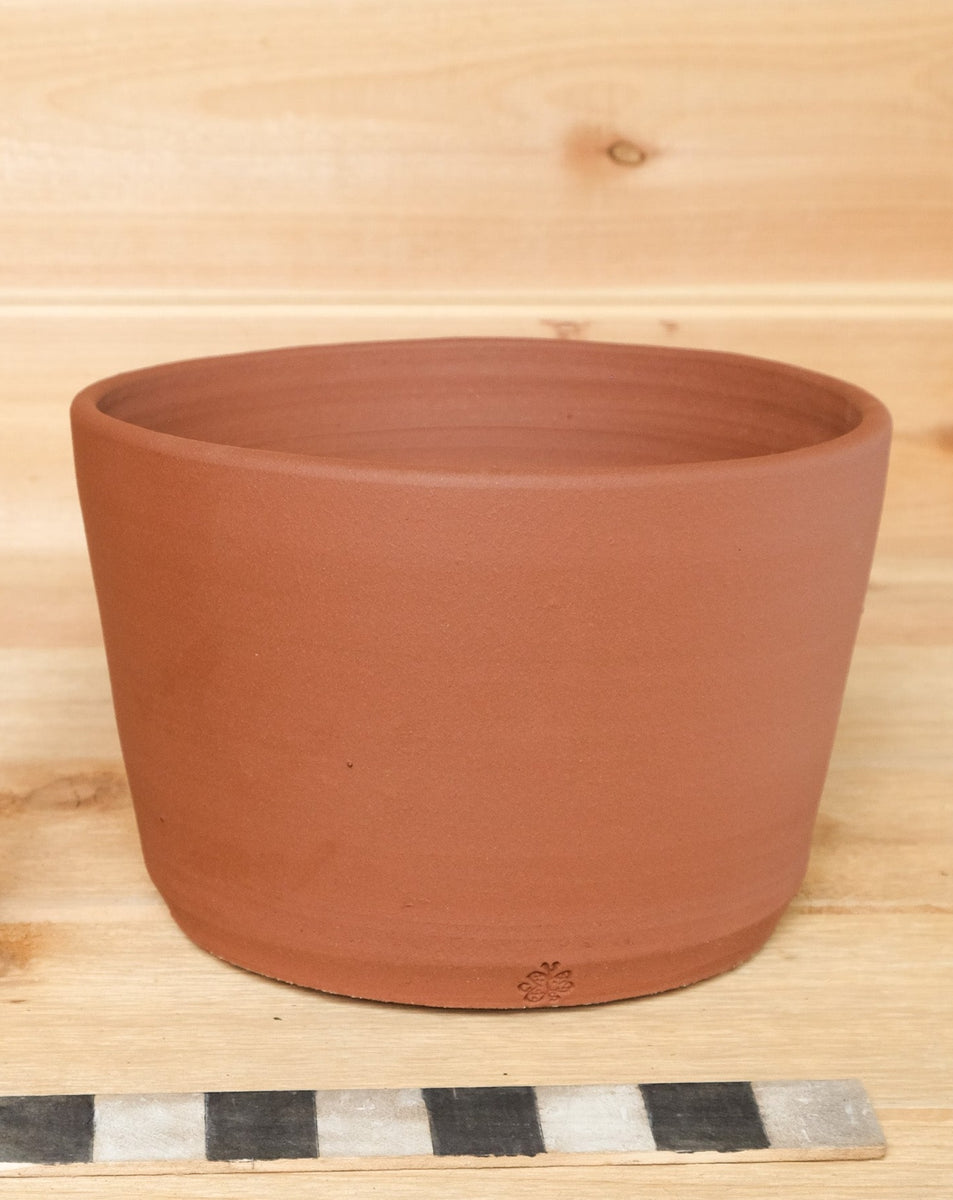 Flared Cylinder – Cactaceae Storeiencius