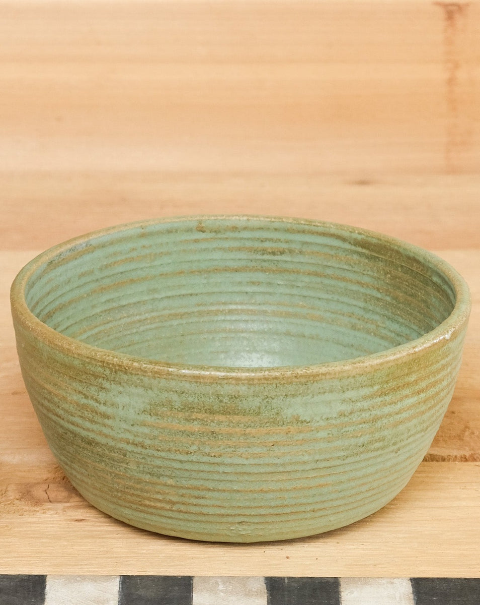 B124-G – Cactaceae Storeiencius