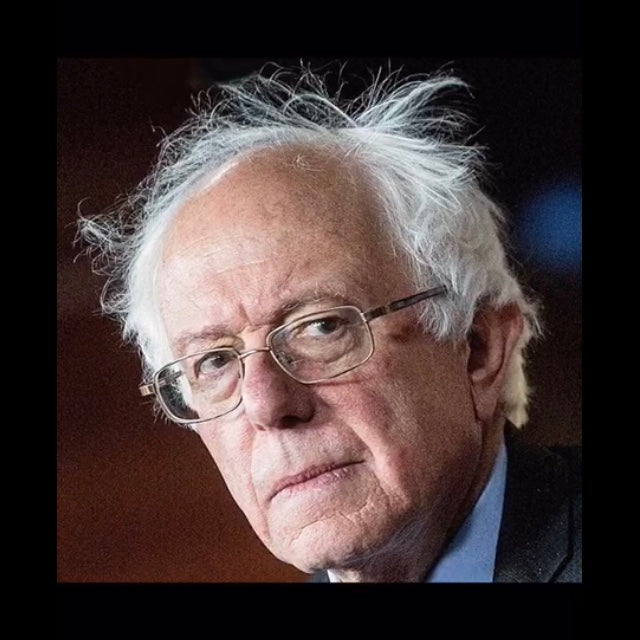 Bernie 2020 T-Shirt – Cactaceae Storeiencius