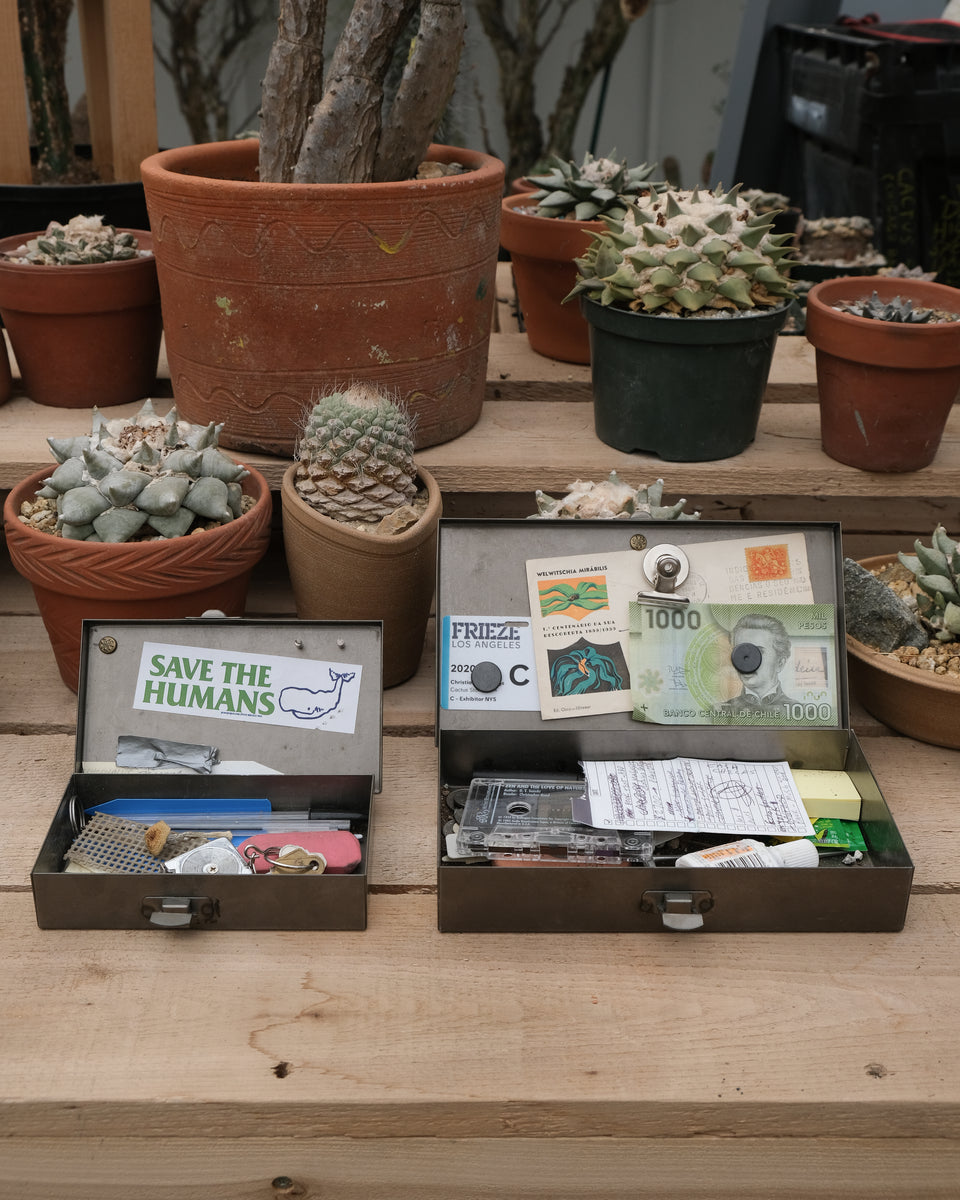 CS Junk Box (By Joel) - Large – Cactaceae Storeiencius