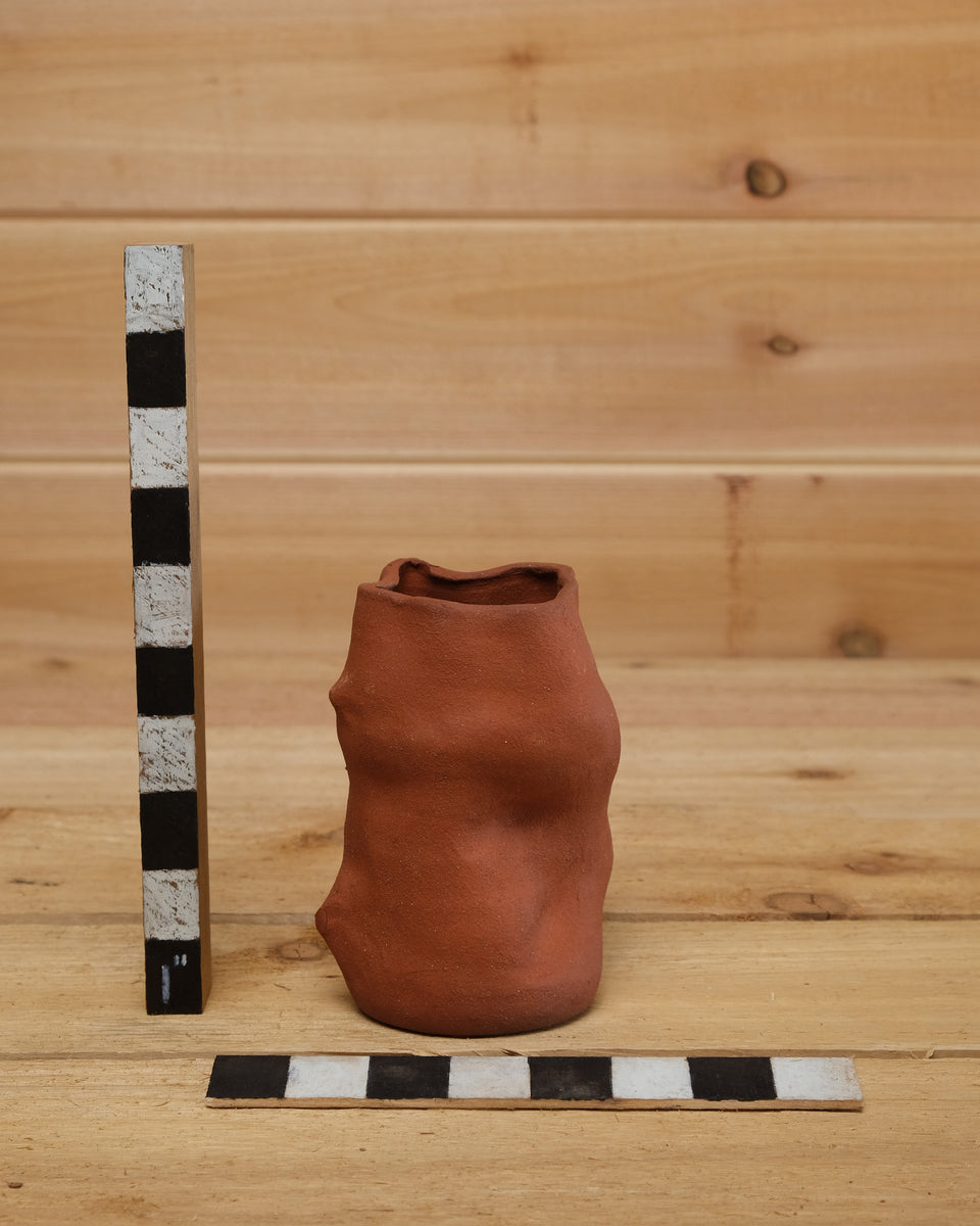 Hot Cheeto Pot – Cactaceae Storeiencius