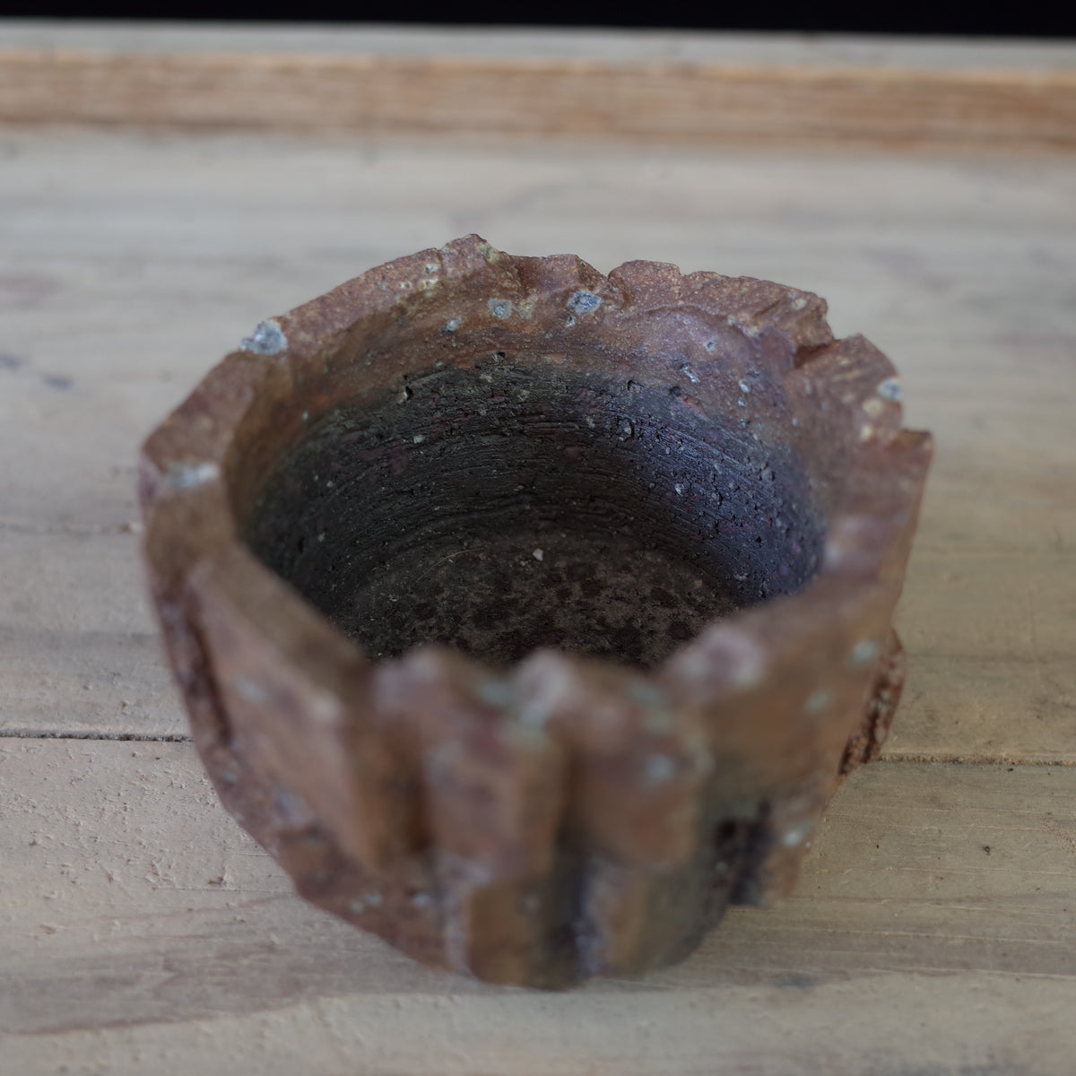 Jonathan Cross (Pot #6) – Cactaceae Storeiencius