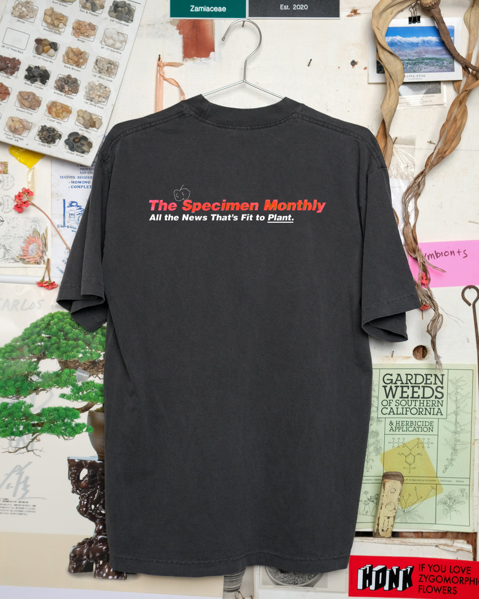 The Specimen Monthly T-Shirt (Washed Black) – Cactaceae Storeiencius