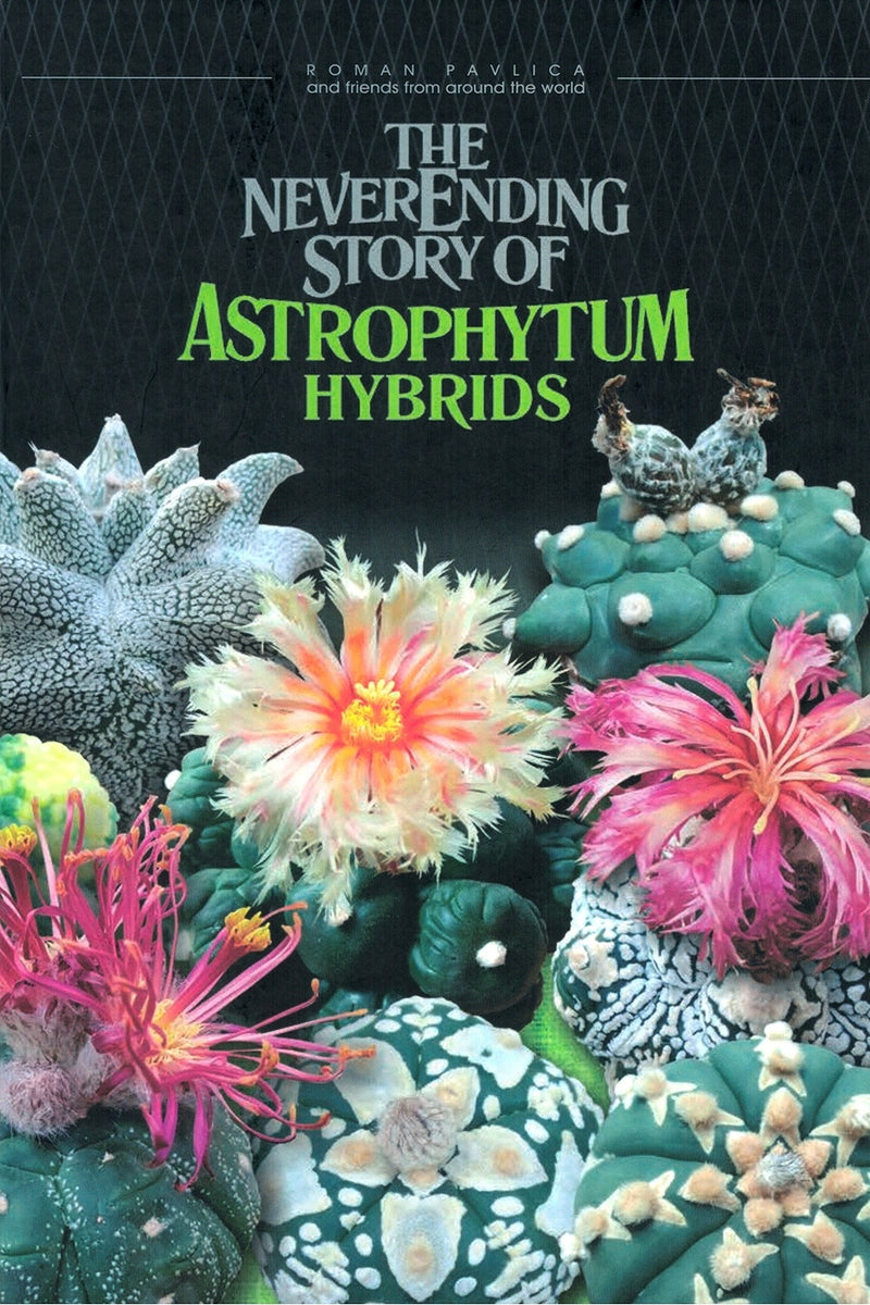 Astrophytum hybrid – Cactaceae Storeiencius